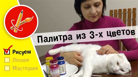 Вся палитра из 3 х цветов Youtube