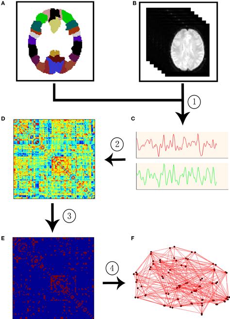 frontiers graph based network analysis of resting state functional mri