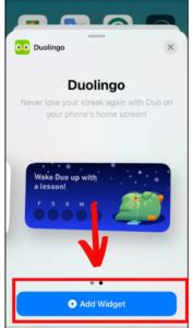 How To Add The Duolingo Widget On Android IOS