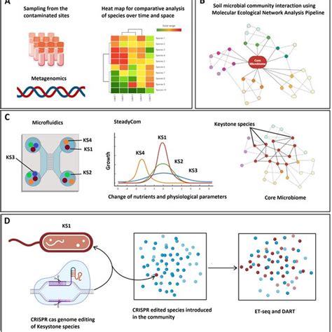 Microbial Communication Through Quorum Sensing Bacterial Interspecies Download Scientific