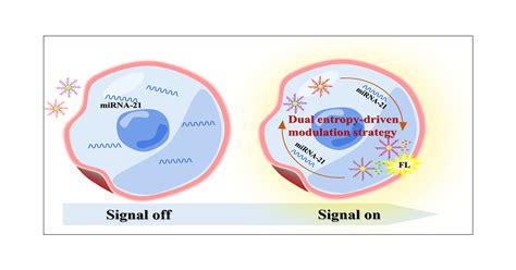 nanosensor based on the dual entropy driven modulation strategy for