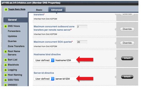 using anycast in infoblox dns reference architectu infoblox