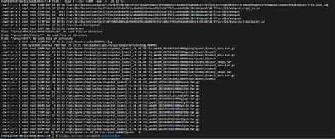 tmp目录满了 导致不能登入 可以手动清理吗 1panel 社区论坛 fit2cloud 飞致云
