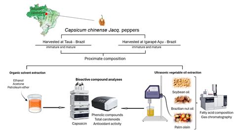 Green Ultrasound Assisted Extraction Of Bioactive Compounds From Cumari Do Pará Peppers