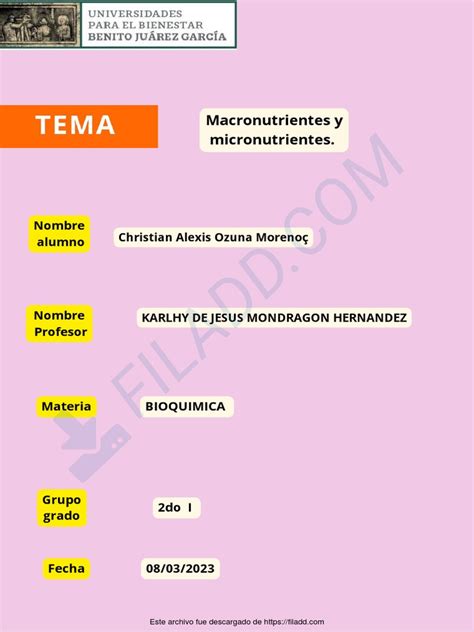 Macronutrientes Y Micronutrientes Pdf Carbohidratos Nutrientes