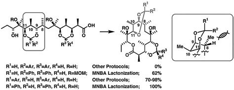 Evaluation Of The Efficiency Of The Macrolactonization Using Mnba In