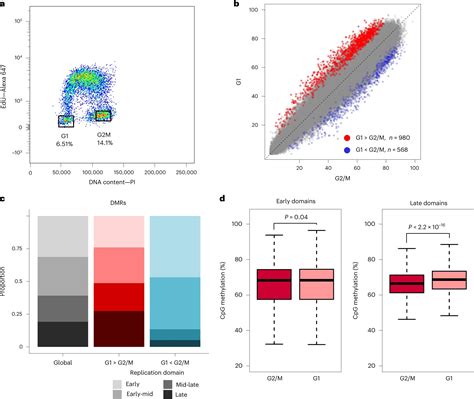 Chemical Markers Examples At Ashley Pines Blog