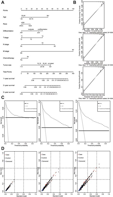 Nomogram Calibration Curve Decision Curve Analysis Dca And Net Download Scientific Diagram