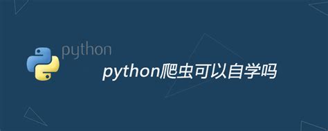 Python爬蟲可以自學嗎 Python教學 Php中文網 Python爬蟲可以自學嗎 Python教學 Php中文網