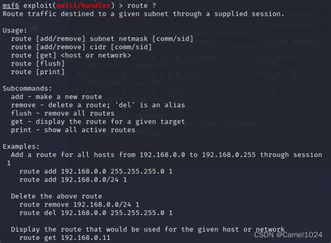 Pivoting跳板攻击session Pivoting Csdn博客