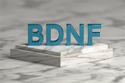 Derived Neuron Stock Illustrations 12 Derived Neuron Stock