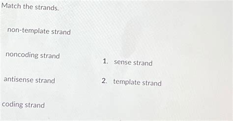 Solved Match The Strands Non Template Strandnoncoding Chegg Com