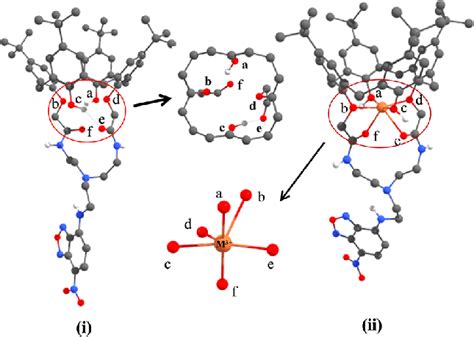 Dft Optimized Structures For I L And Ii L M 3 Complex The Download Scientific