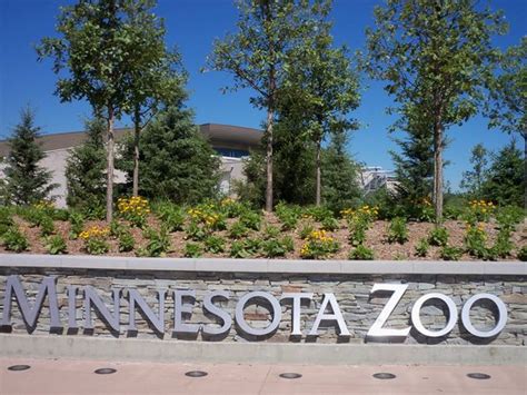 Great Zoo Animals Are Amazing Review Of Minnesota Zoo Apple Valley