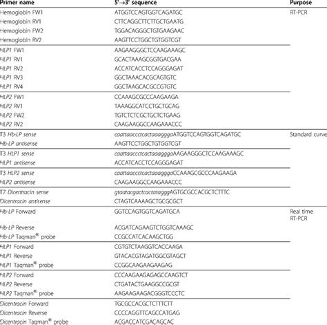 Primer Design Molecular Cloning At Lupe Hyatt Blog