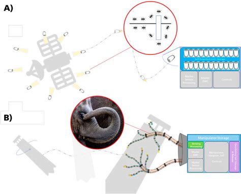 Frontiers Biomimetics For Innovative And Future Oriented Space Applications A Review