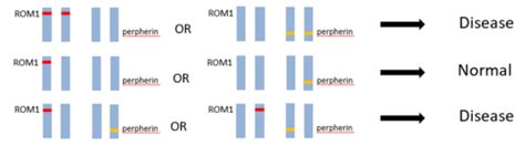 Genetics Lecture 13 Patterns Of Inheritance Multifactorial Disorders
