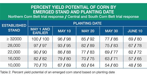 Nk Seeds Offering Free Corn Replant Calculator Tool To Help Farmers