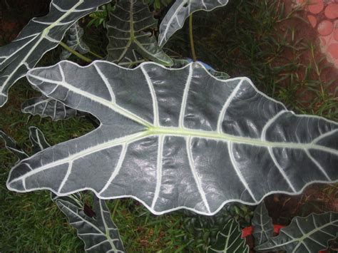 How To Create Synchronicity In Your Life