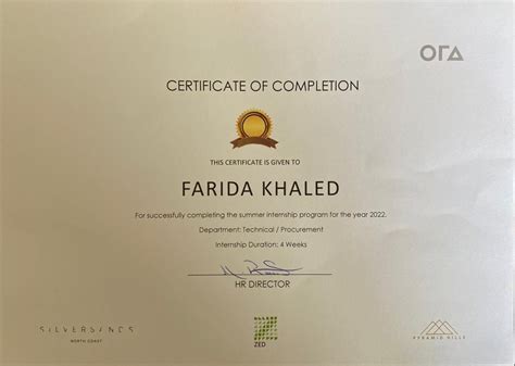 farida khaled on linkedin internship team ora