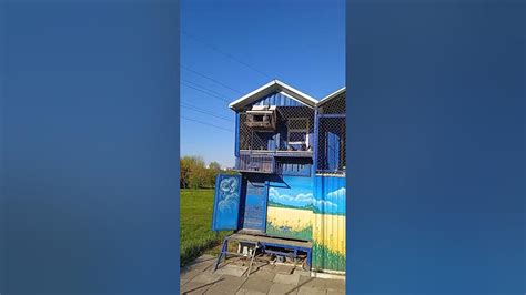 МИНСК. БЕЛАРУСЬ. ПИТОМНИК "47".ПОЧТОВЫЕ,СПОРТИВНЫЕ ГОЛУБИ.У НАС ГОНКА ...