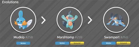 Pokemon Mudkip Evolution Torchic Treecko And Mudkip I Choose You