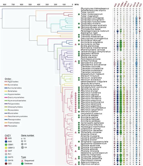 [pdf] Large Scale Genome Investigations Reveal Insights Into