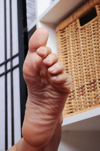 Cindy Starfall Bmbwanton Photography Atk Exotics