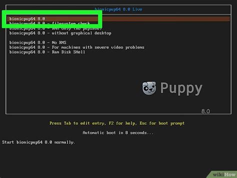 How To Install Puppy Linux The Complete Beginners Guide