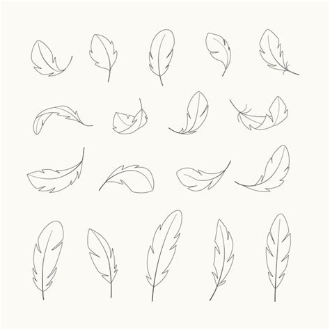 Premium Vector Bird Feathers In Different Positions