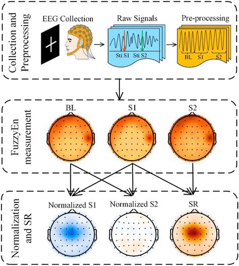 Experimental Flowchart Signal Collection And Preprocessing Fuzzyen