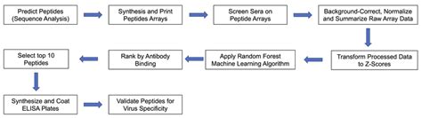 bioinformatics and laboratory workflow diagram a graphical depiction