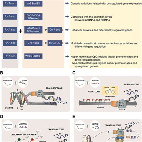 integrative analysis with complex biological meanings a integrative