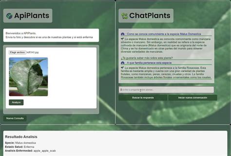 Mario Dos Reis On Linkedin Infoplants Apiplants Chatplants