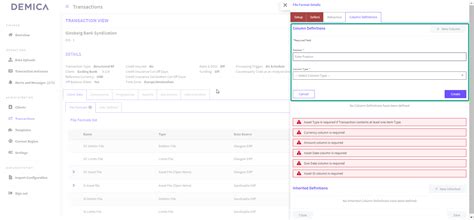Ngp File Format Asset Files Open Items And New Only And Debtor Files Column Definitions Tab