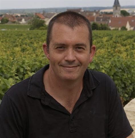 Jamie Goode Wine Critic Your Personal Wine Professional Tastingbook