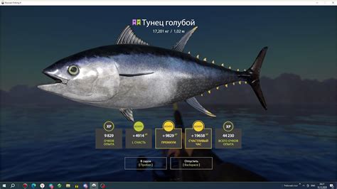МОРСКИЕ ПРИКЛЮЧЕНИЯ В РУССКОЙ РЫБАЛКЕ 4 СТРИМ РОЗЫГРЫШИ Youtube