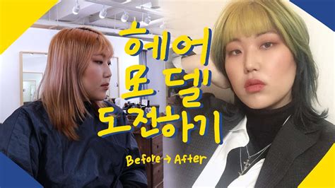 헤어 모델 도전 하기 Feat 머리털 히어로즈 홍대 양리헤어 갬성숏컷 고유쌤 허쉬컷 하이라이트 염색 Youtube