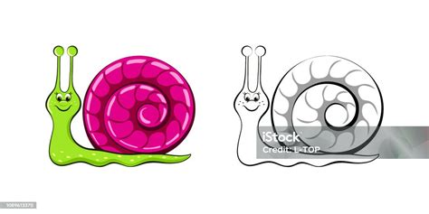 만화 귀여운 달팽이의 색칠 페이지 개요입니다 아이 들을 위한 색칠 공부 책입니다 벡터 일러스트 레이 션 개수대에 대한 스톡 벡터