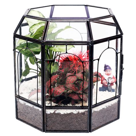 Redhugo Large Glass Terrarium Handmade Centerpiece Display Box T
