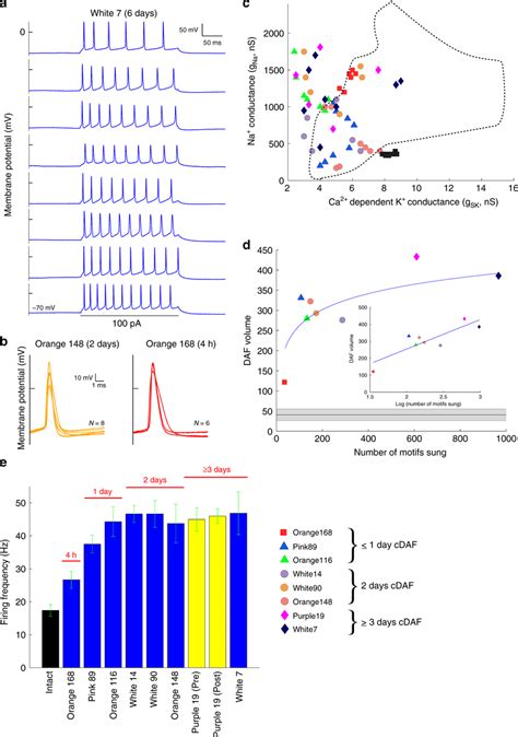 Learning Rapidly Regulates Intrinsic Properties A Spike Trains For Download Scientific Diagram