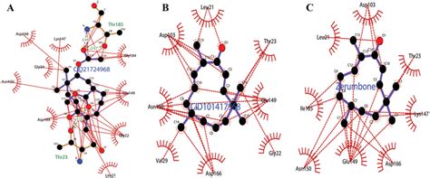 Molecular Interaction Map Of Ikk β Pdb Id 3rzf With A Cid21724968 B