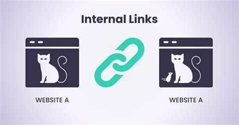 What Are Internal And External Links In Seo Mungo Desi