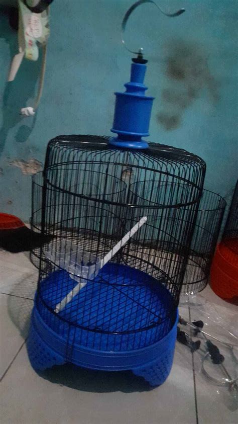 Kandang Lovebird Pendek Pion Plastik Lazada Indonesia