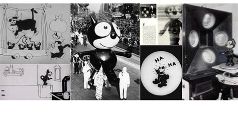 아직 몰랐던 고양이