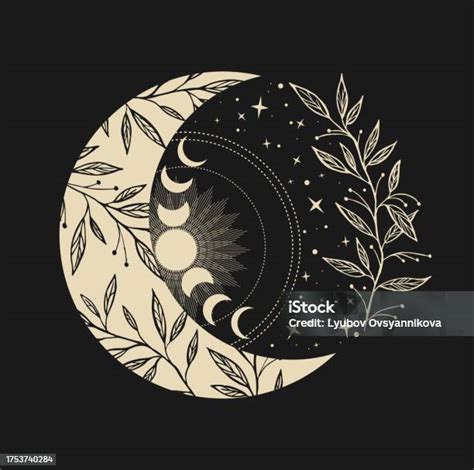 별과 식물이 있는 신비로운 달 손으로 그린 점성술 기호입니다 개체 그룹에 대한 스톡 벡터 아트 및 기타 이미지 개체 그룹 기하 단순함 Istock