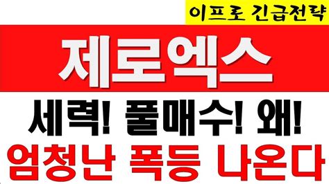 제로엑스 코인 세력 풀매수 왜 엄청난 폭등 나온다 Youtube