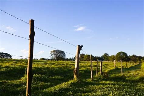 Pros And Cons Of Different Fence Materials Driveway Expert