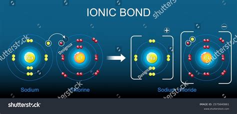 Ionic Bond Structure Formation Nacl Cation Stock Vector Royalty Free