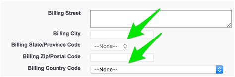 Account Visualforce State And Country Picklists Standard Fields